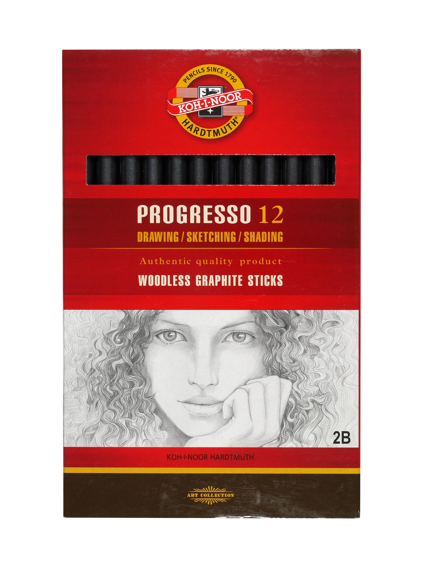 Koh-I-Noor Hardtmuth Progresso Woodless Graphite Sticks - Pack Of 12 ...